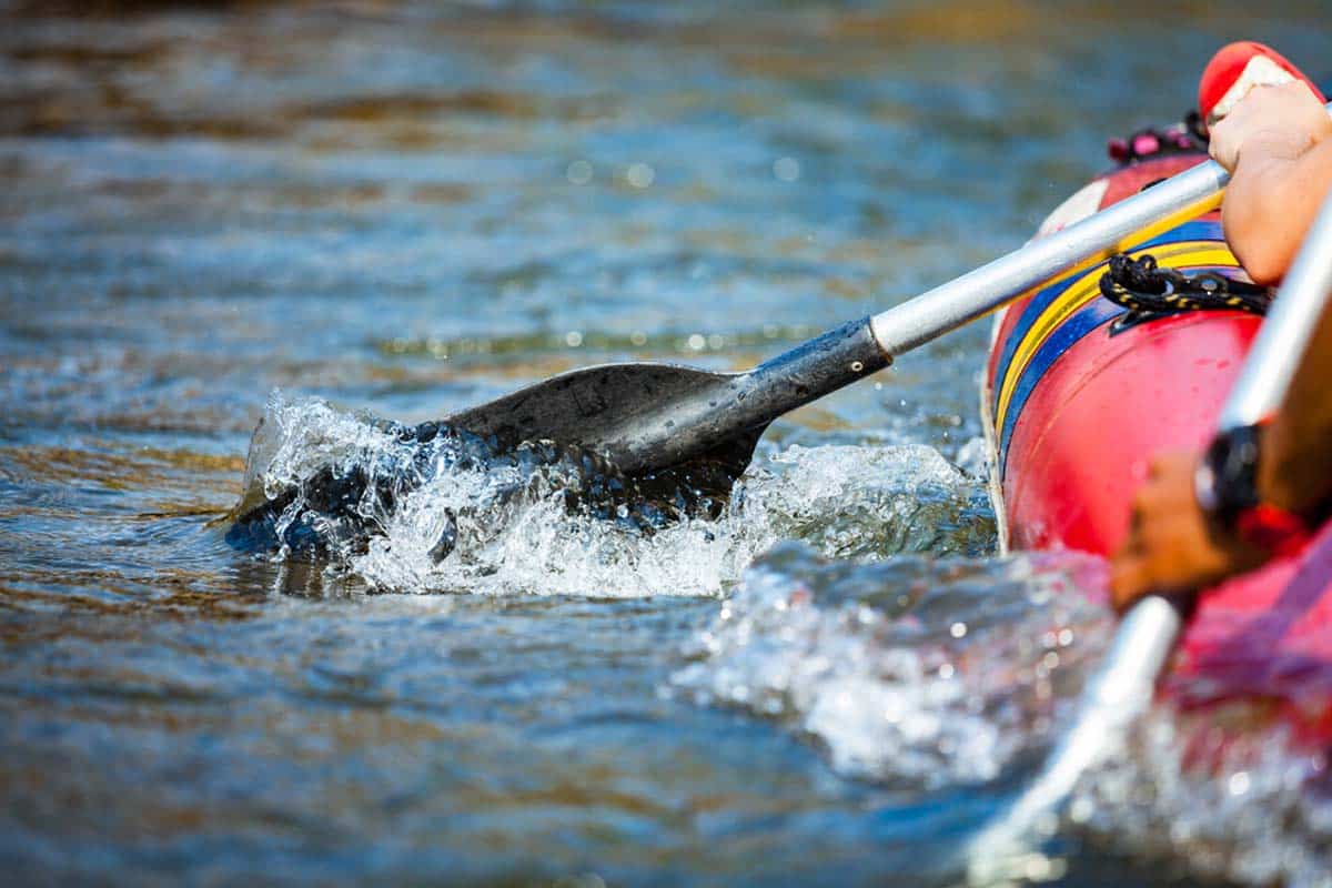 Whitewater Rafting in Harpers Ferry: An Adventure Guide - Mountain Mama